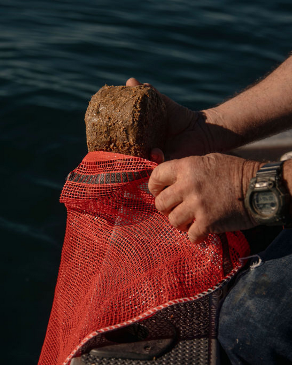 Salted Berley Logs – Fisherman Supply Co.